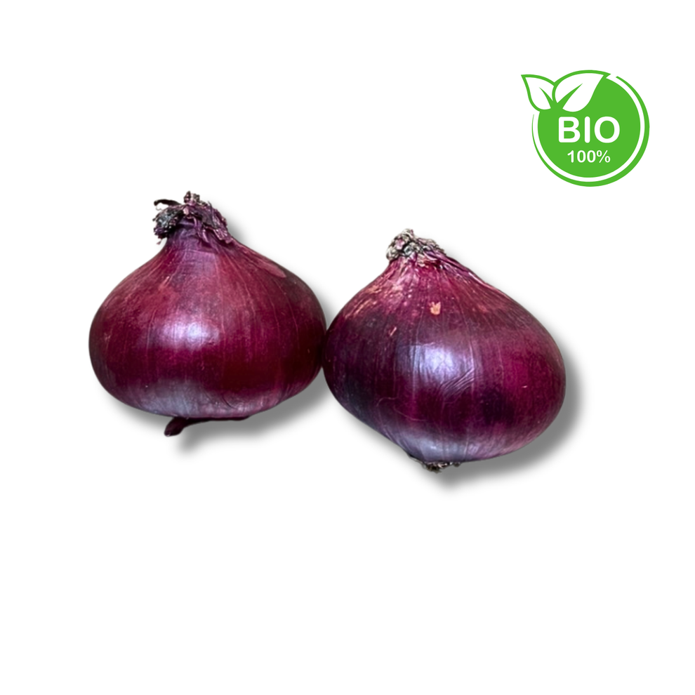 Oignon rouge bio (pièce) – Oraz Fruits